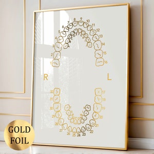 Set 6 Tooth Anatomy Art Dental Medicine Poster Tooth Diagram Teeth ...