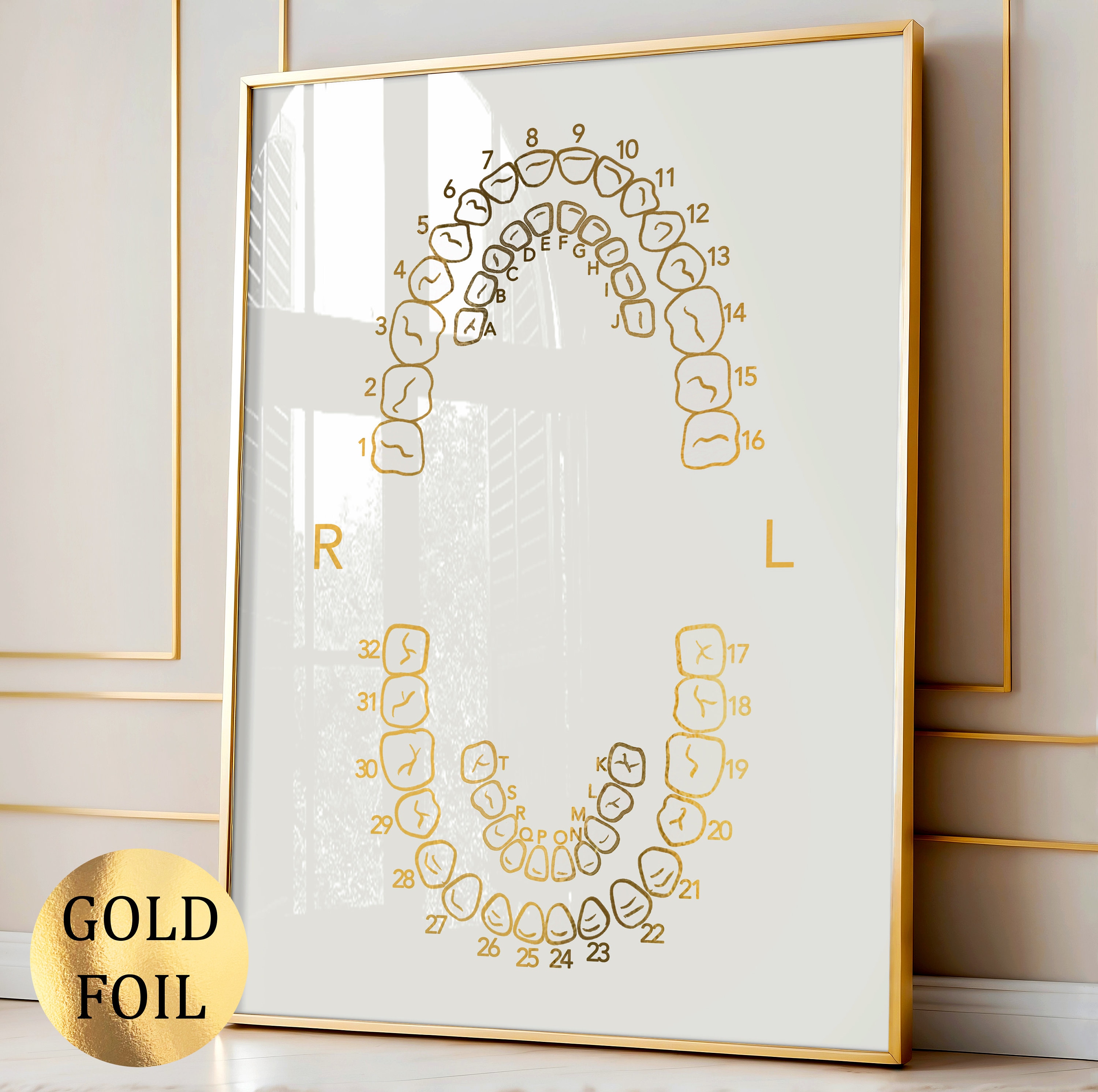 Set 6 Tooth Anatomy Art Dental Medicine Poster Tooth Diagram Teeth ...