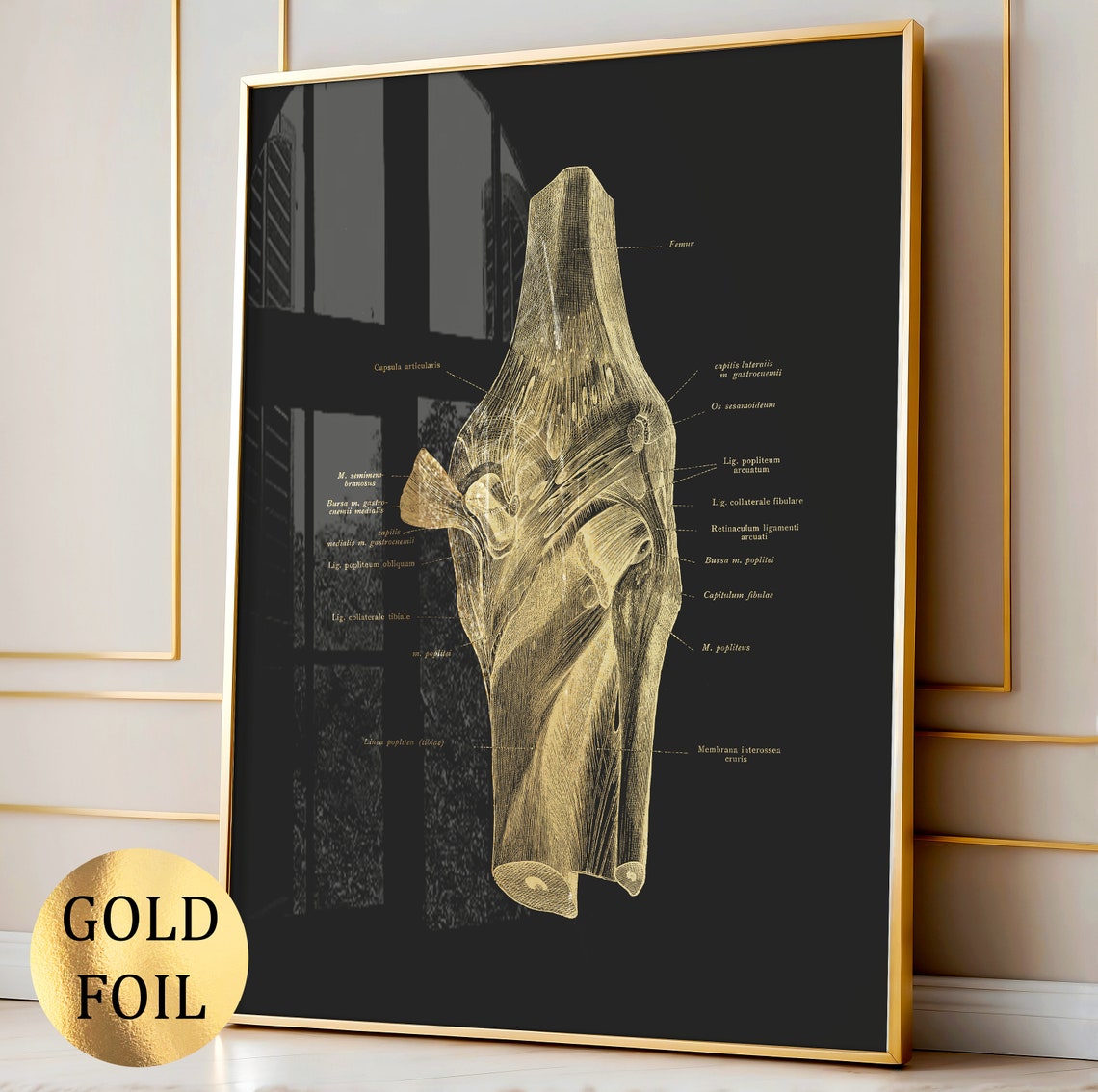 6 Knee Anatomy Art Orthopedic Art Knee Joint Posters Physiotherapy Art ...