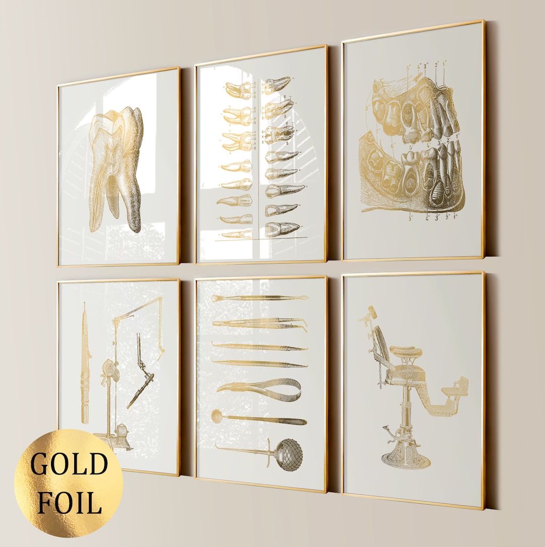 6 Tooth Anatomy Art Dentistry Art Tooth Numbering Diagram Dental Care ...