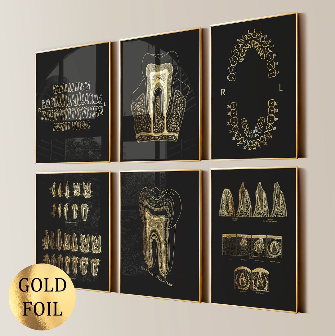 6 Tooth Anatomy Posters Dental Art Tooth Grow Diagram Teeth Types ...
