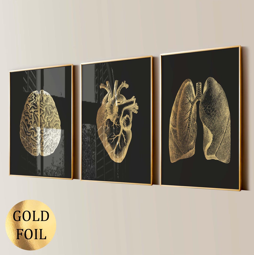 Set 3 Gold Anatomy Art Prints Anatomical Brain Heart Lungs Poster ...