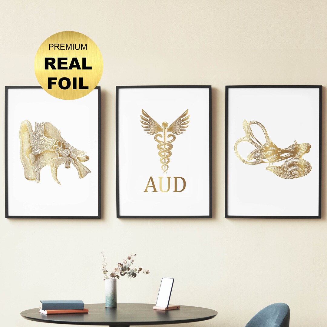 3 Ear Anatomy Art Audiology Art Medical Art Hearing System - Etsy