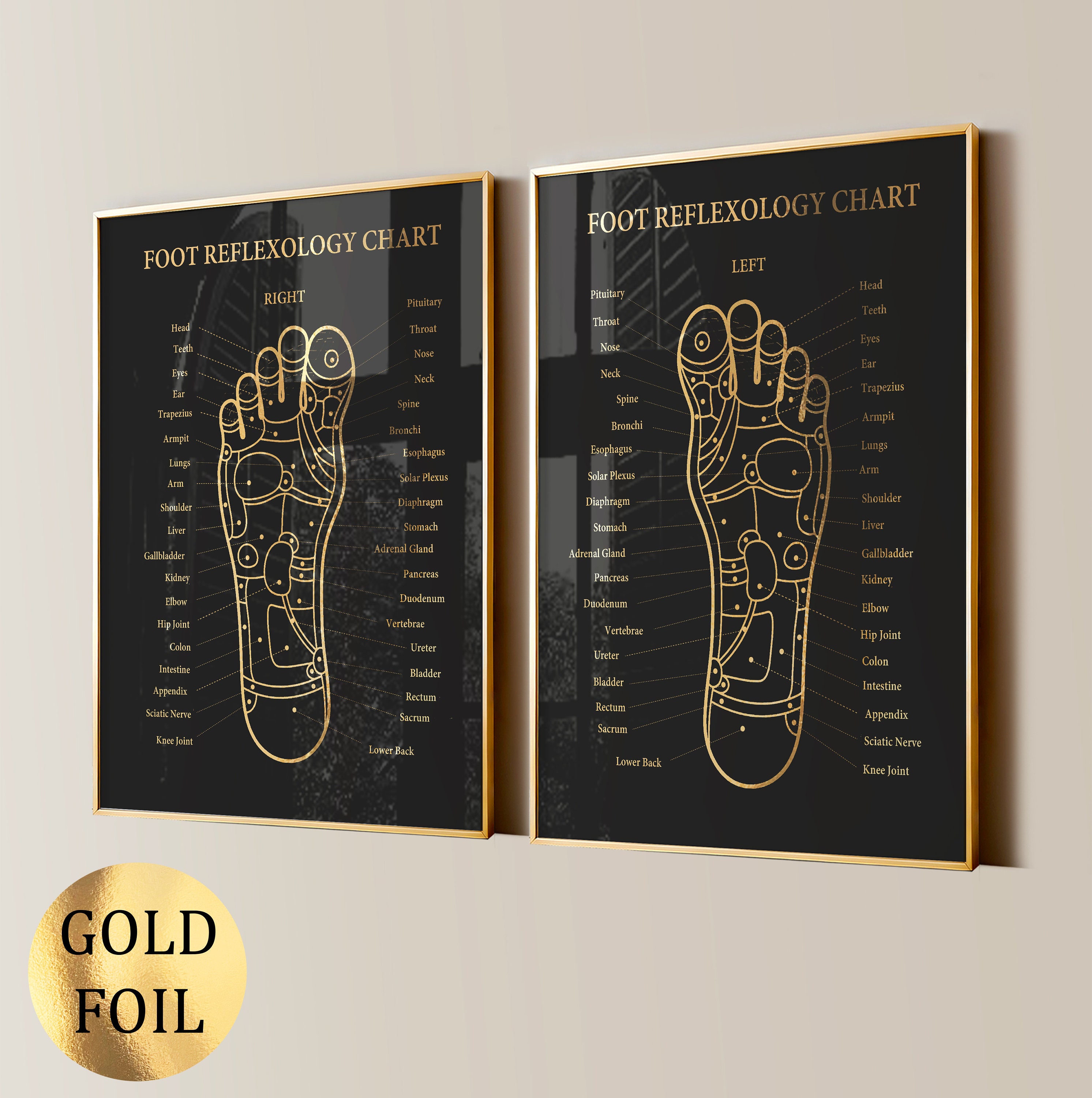 2 Foot Reflexology Zones Chart Foot Massage Diagram Medical Poster ...