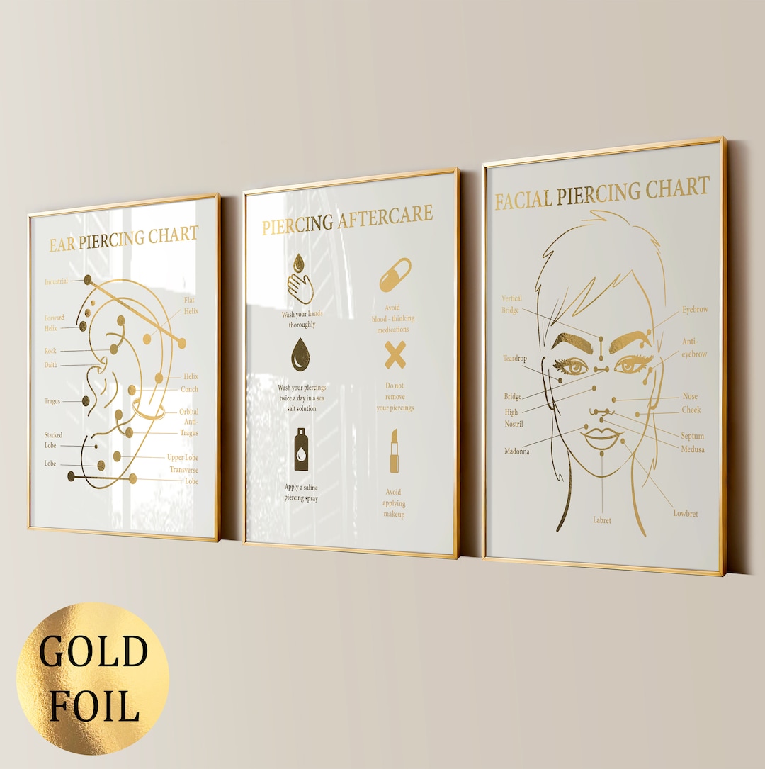3 Piercing Art Ear Piercing Chart Facial Piercing Poster Piercing ...