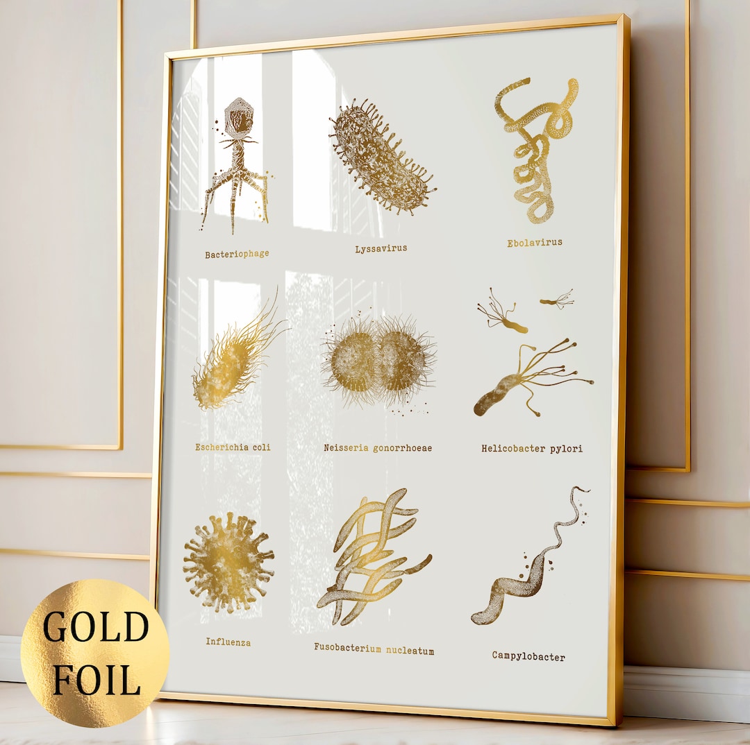 Gold Bacteria Art Microbiology Art Medical Art Science Art ...