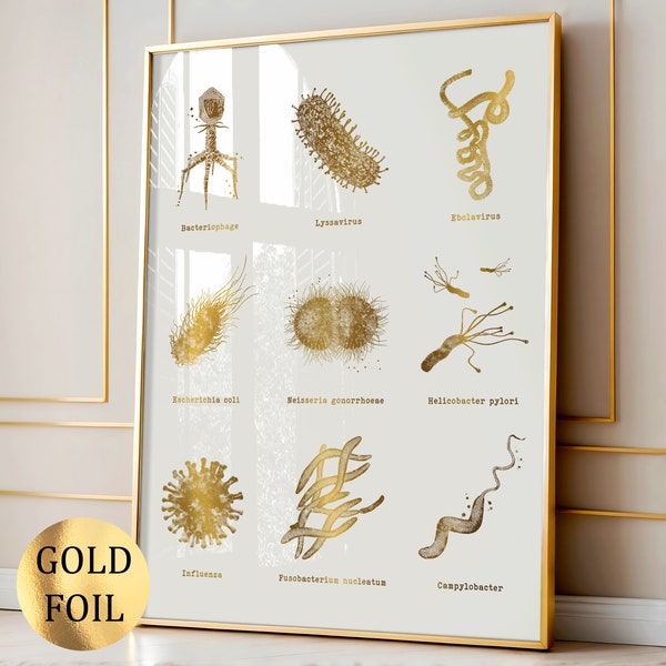 Bacteria Art - Etsy
