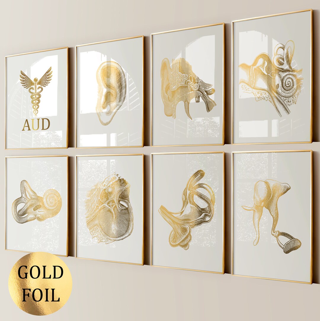 Set 8 Ear Anatomy Art Audiology Posters Medical Art Inner Ear Eardrum ...