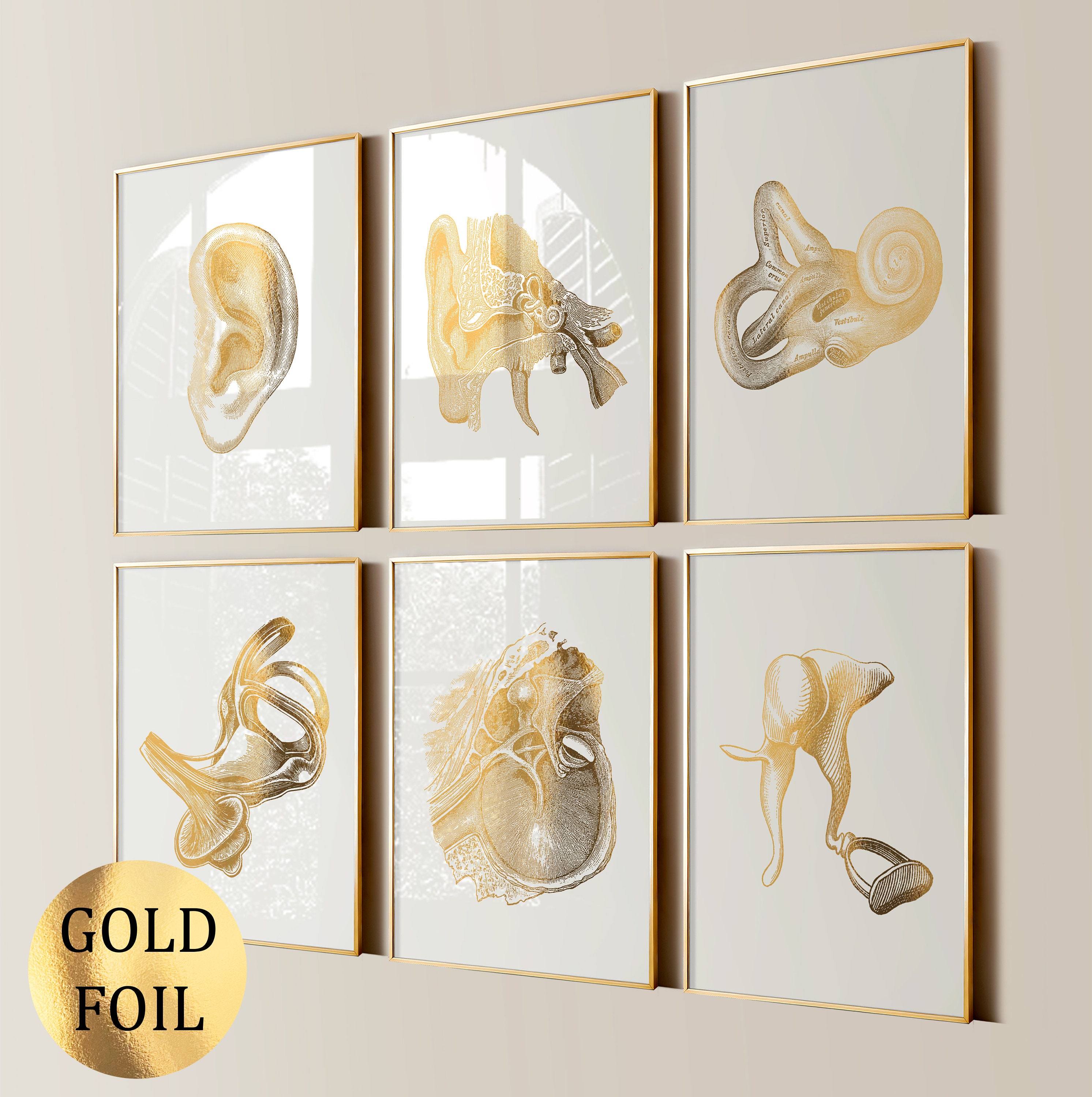 6 Gold Ear Anatomy Art Auditory System Posters Medical Art Inner Ear ...