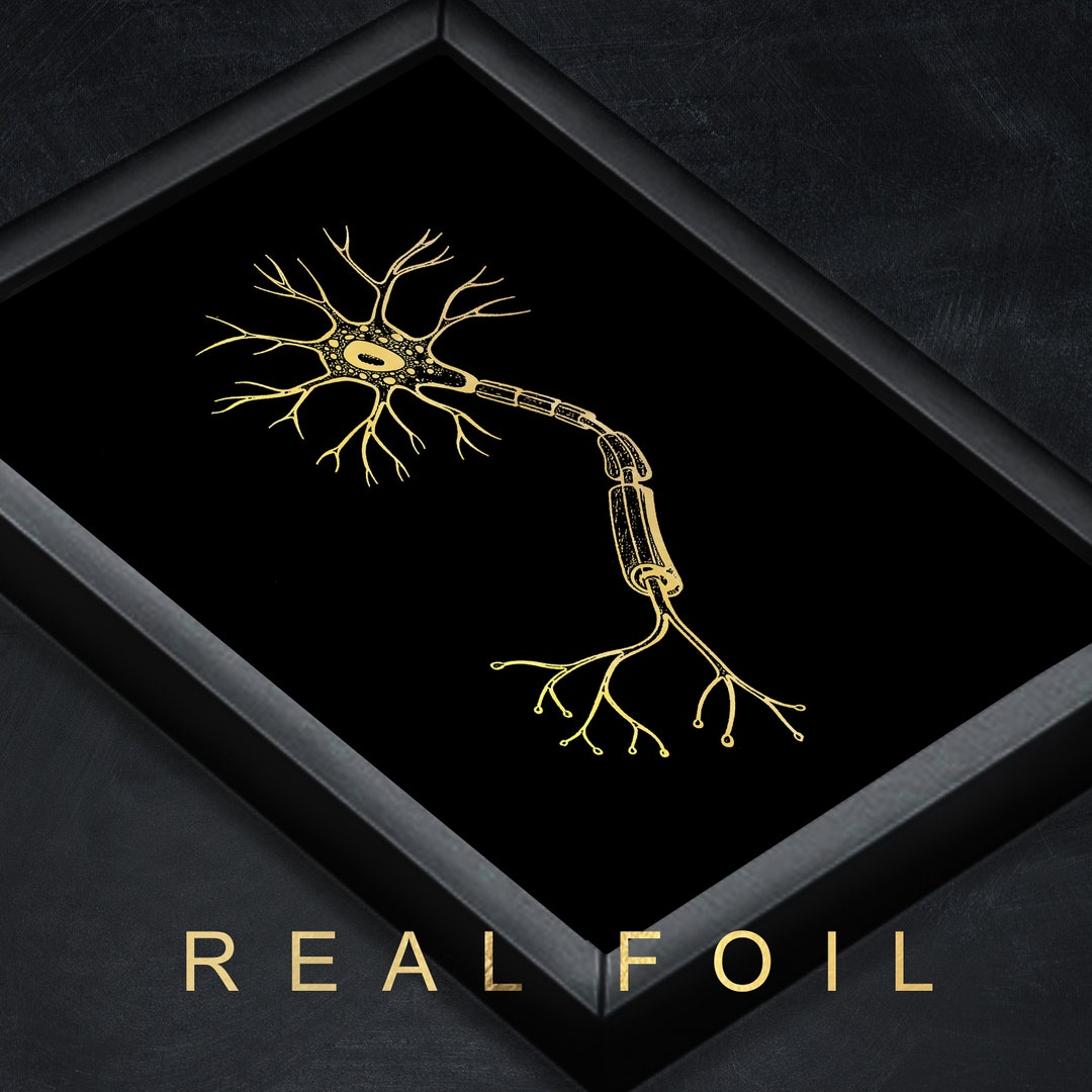 Gold Neuron Cell Anatomy Art Neurology Art Medical Art Neurologist Art ...