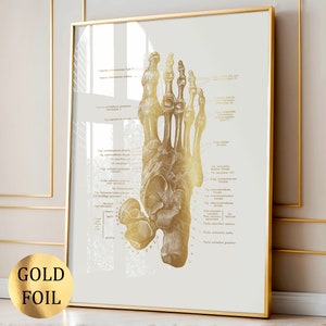 3 Gold Foot Anatomy Posters, Foot Bones Diagram, Gold Foil Print ...