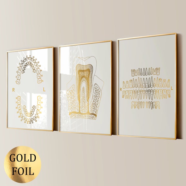 Dental Poster - Etsy