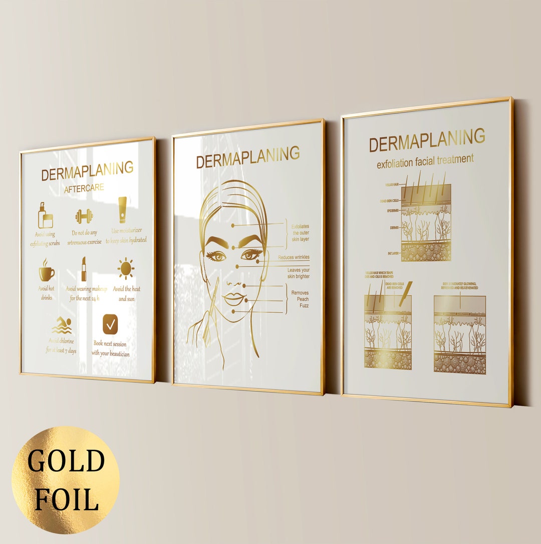 Set 3 Dermaplaning Posters Facial Treatment Art Skin Diagram Beauty ...