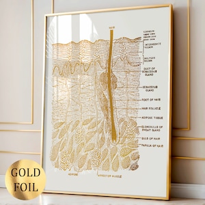 4 Dermatologist Gift Human Skin Anatomy Art Integumentary System Gold ...