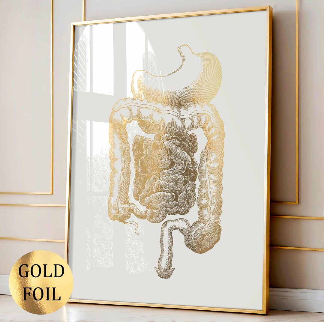 Intestines Art, Gold Anatomy Art, Medical Art, Gastroenterology Art ...