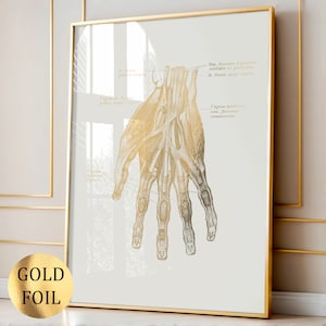 Set 6 Hand Anatomy Art Orthopedic Poster Medical Art Hand Diagram Wrist ...