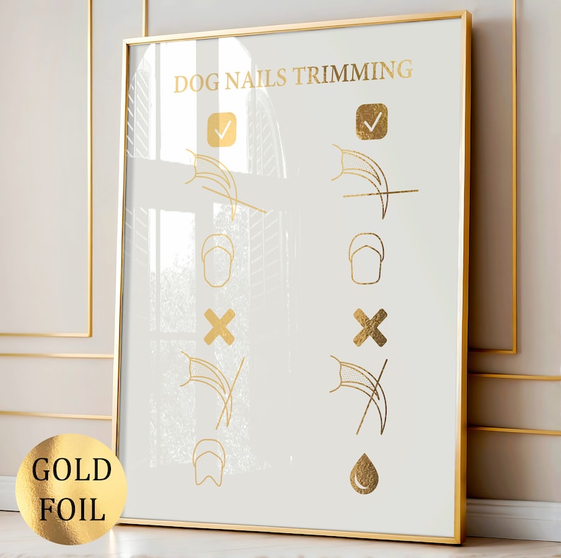 6 Dog Grooming Posters Groomer Gift Grooming Salon Decor Pet Dental ...