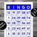 20 Blue Unique Printable Bingo Cards, Family Friendly Digital Download ...