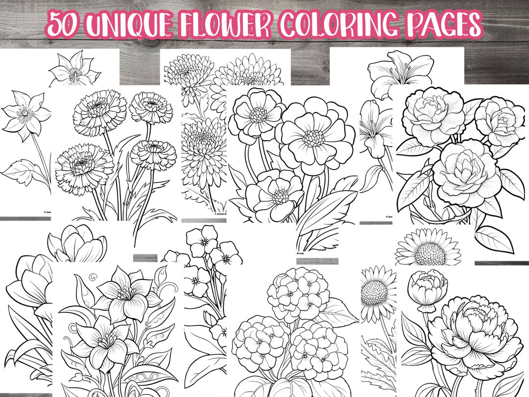50 Unique Floral Coloring Pages, Printable Coloring Pages, Digital ...