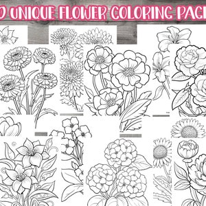 50 Unique Floral Coloring Pages, Printable Coloring Pages, Digital ...