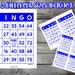 20 Blue Unique Printable Bingo Cards, Family Friendly Digital Download ...