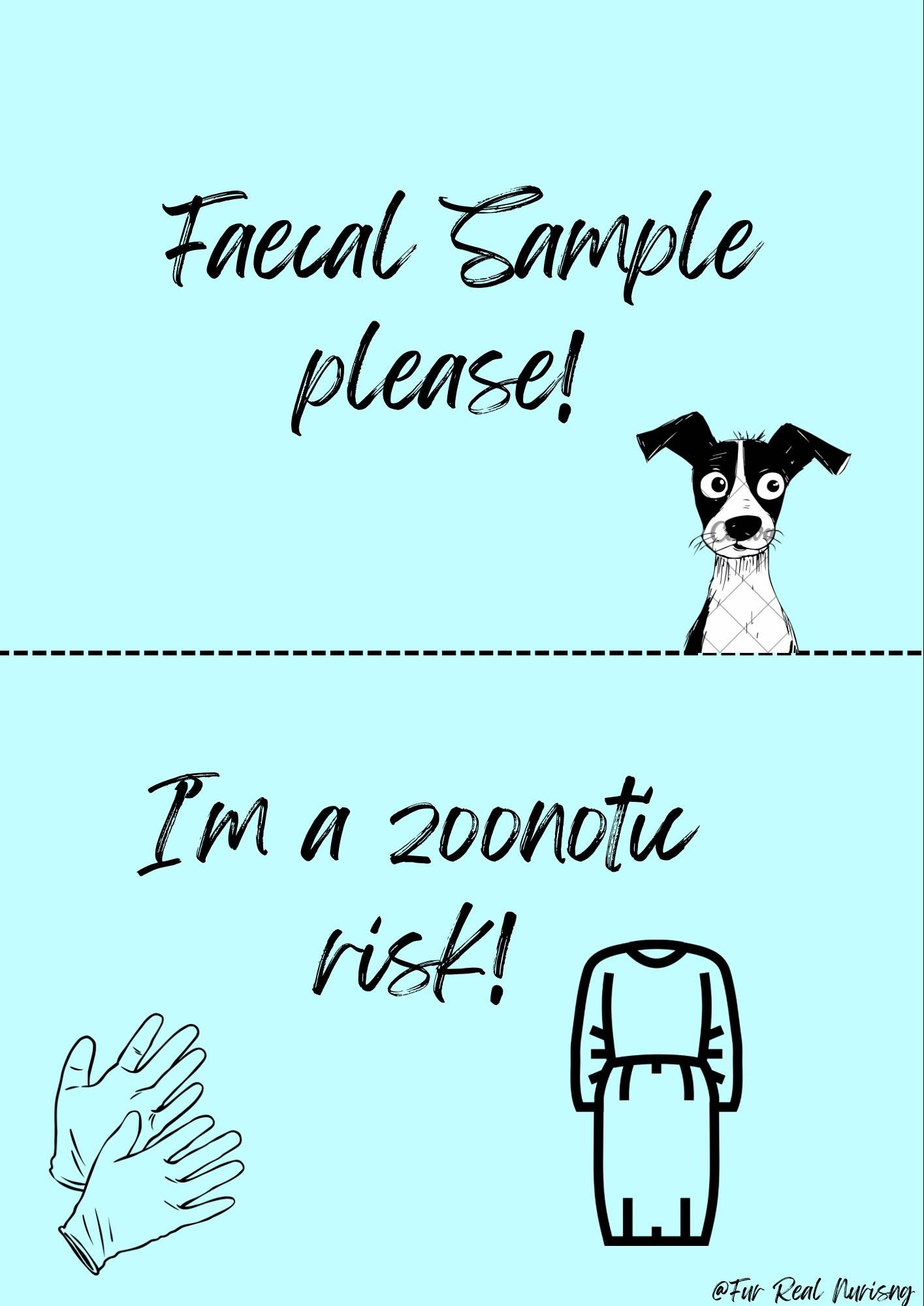 Veterinary Kennel Signs Printable Patient Alert and Safety Signs - Etsy