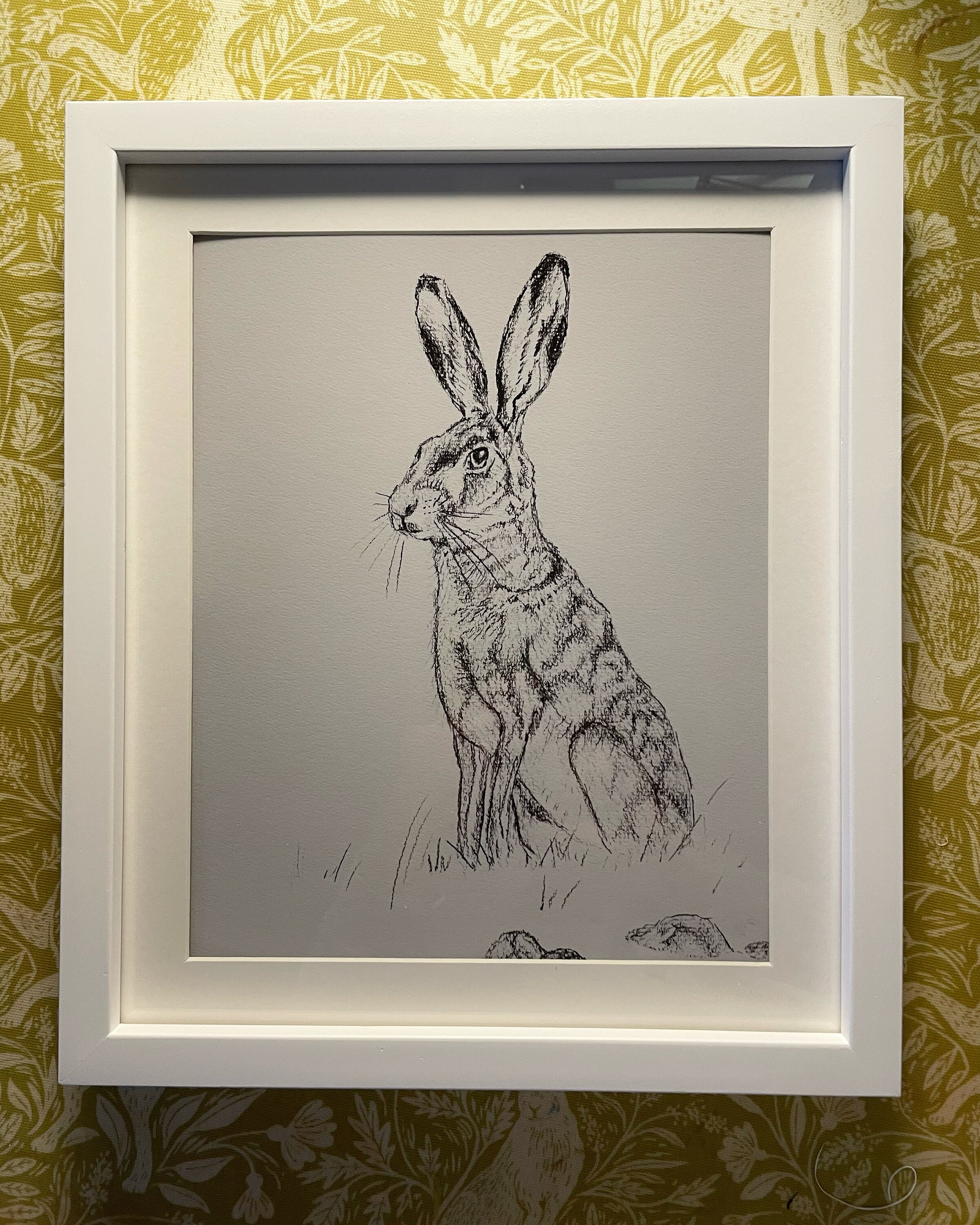 Hare Pencil Drawing Print A4 Size - Etsy