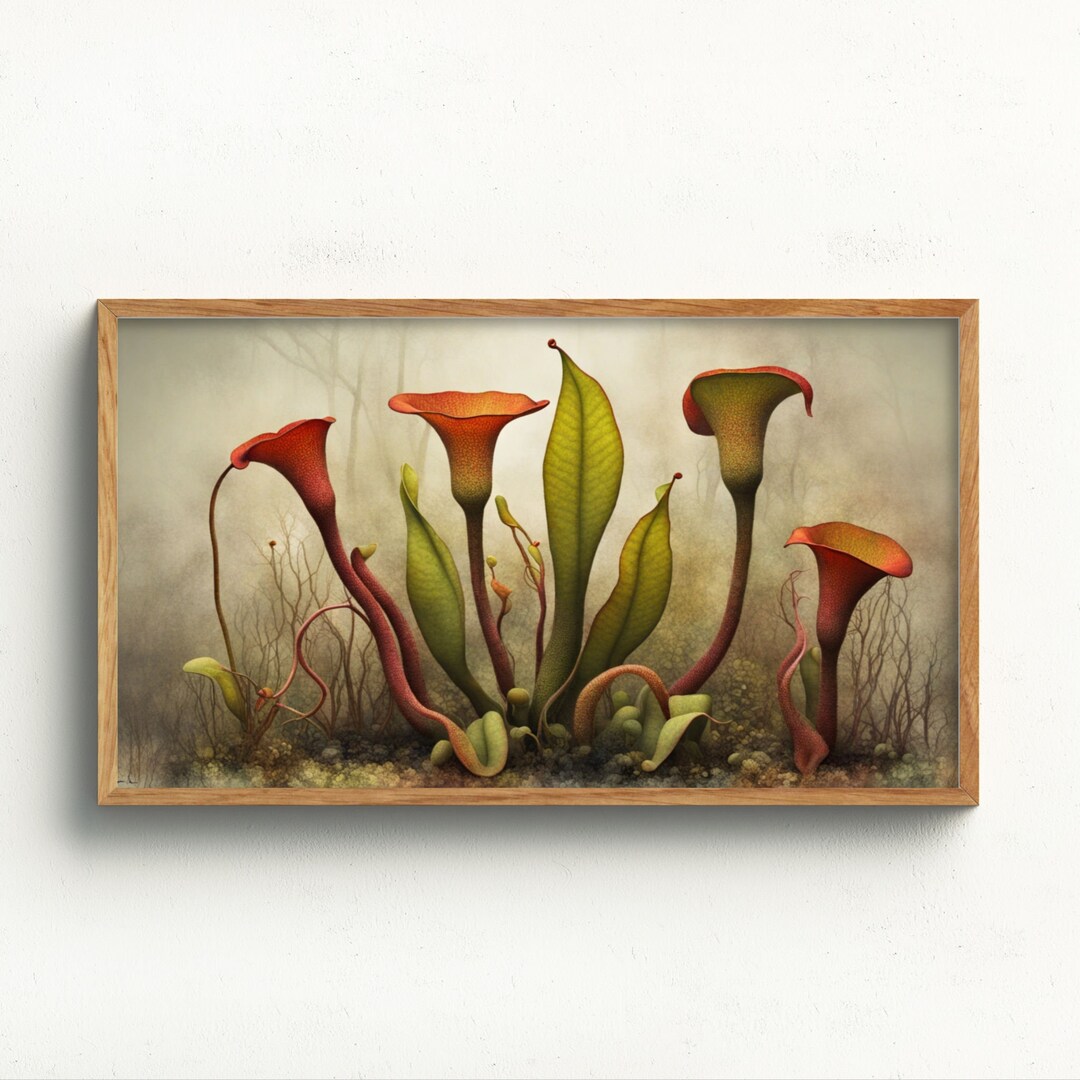 Frame TV Art Digital Download Pitcher Plants Modern Farmhouse Art for ...