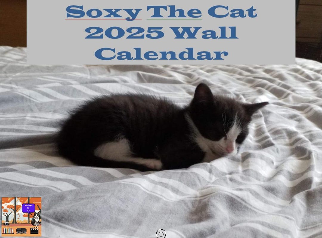 Cute Cat Calendar With Soxy the Cat, 2025 A4 Wall Calendar US - Etsy Canada