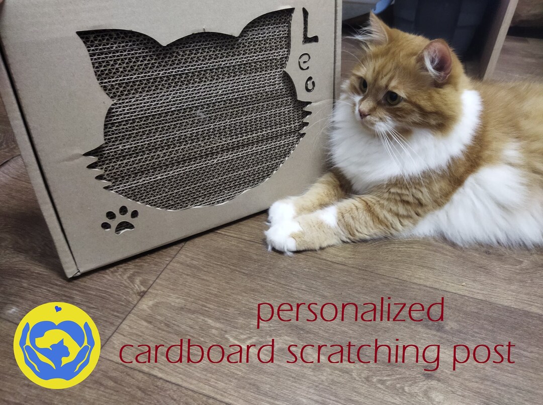 Personalized Scratching Post Catbox Toy Pet Cardboard Furniture - Etsy