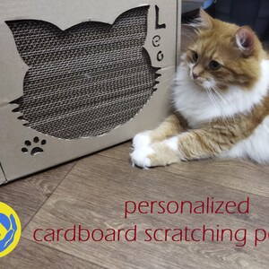 Personalized Scratching Post Catbox Toy Pet Cardboard - Etsy