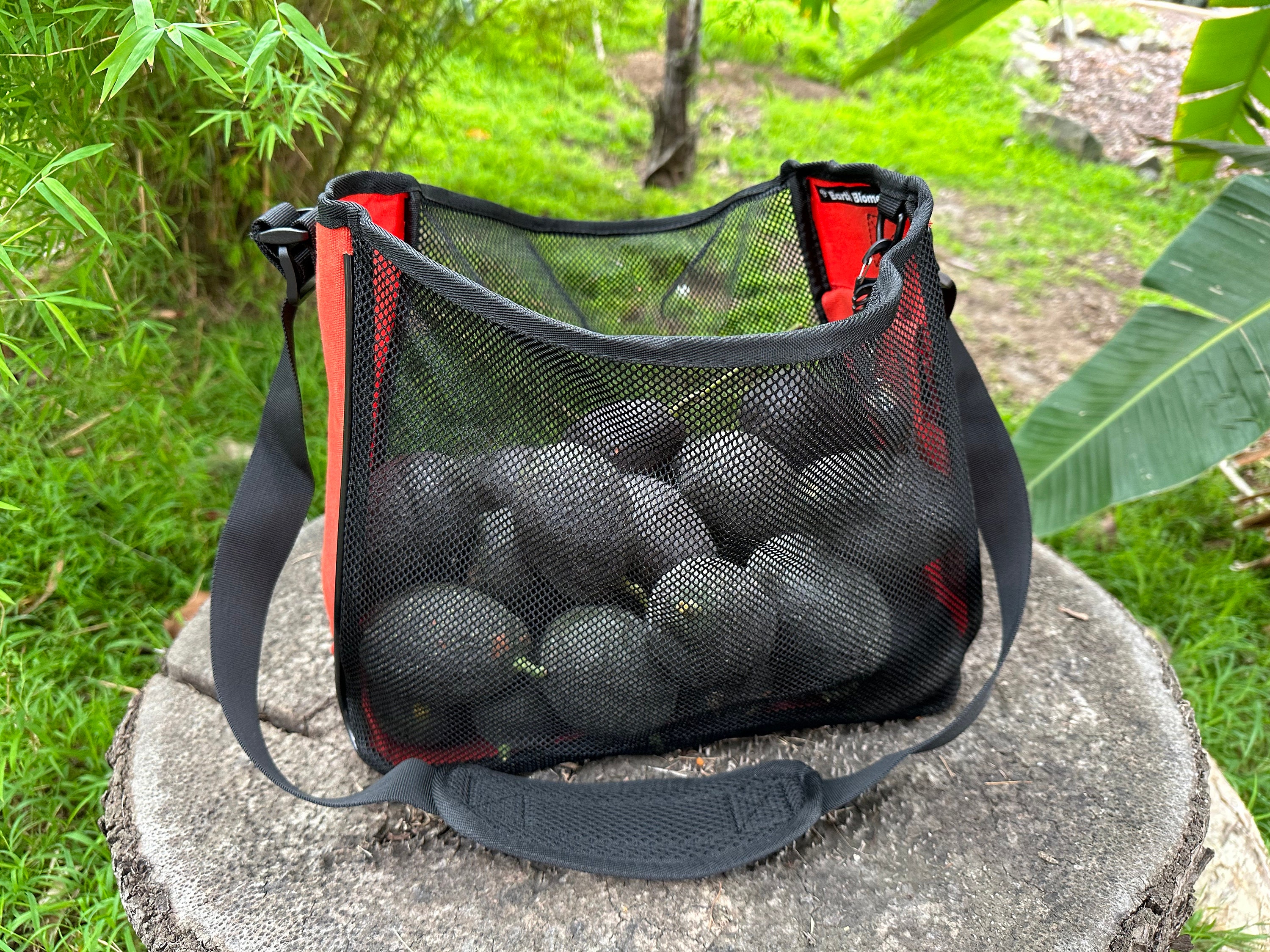 Earth Biome Waxed Canvas and Mesh Foraging Kit for Gathering or Fruit ...