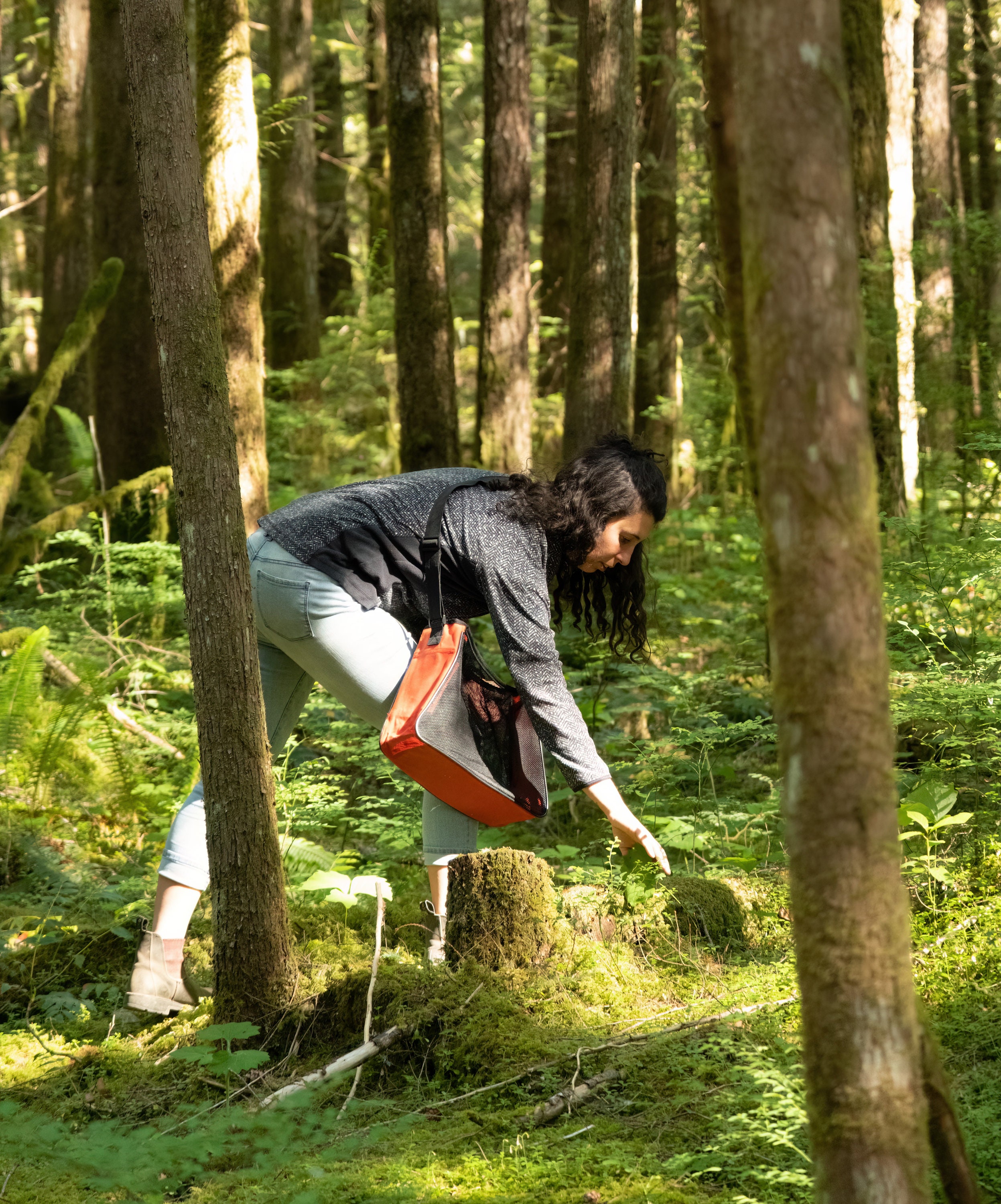 Earth Biome Waxed Canvas and Mesh Foraging Kit for Gathering or Fruit ...