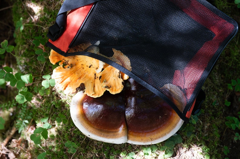 Earth Biome Waxed Canvas and Mesh Foraging Kit for Gathering or Fruit ...