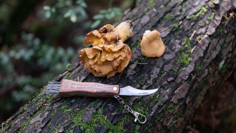 Earth Biome Waxed Canvas and Mesh Foraging Kit for Gathering or Fruit ...