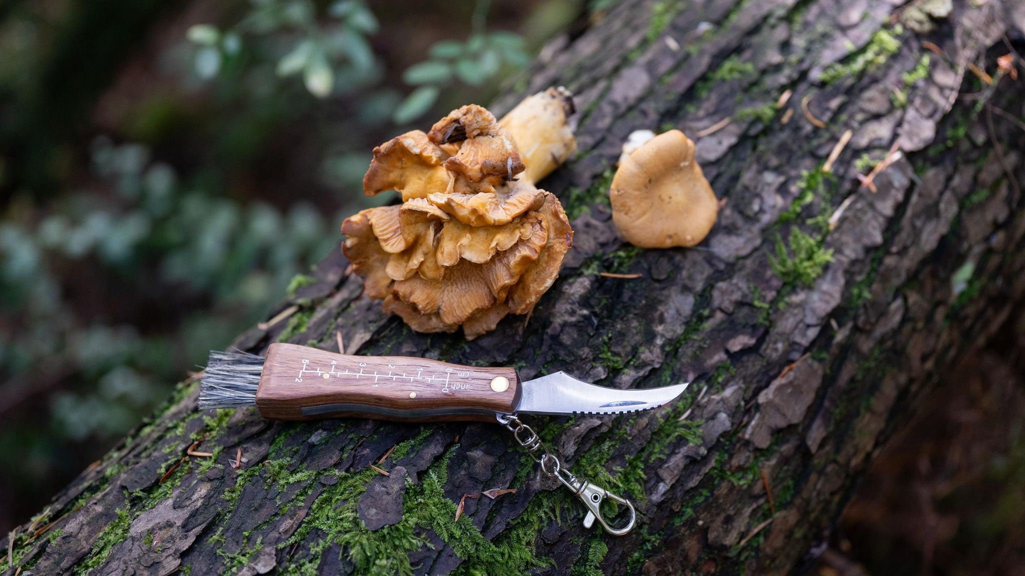 Earth Biome Waxed Canvas and Mesh Foraging Kit for Gathering or Fruit ...