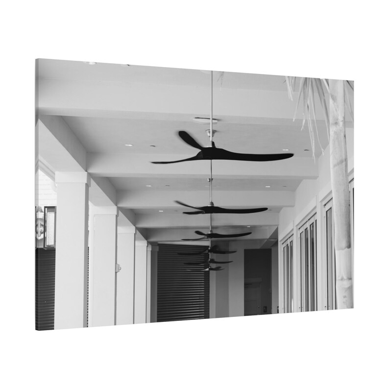 Black and White Tropical Ceiling Fans Print Luxury Resort Decor, Beachy ...