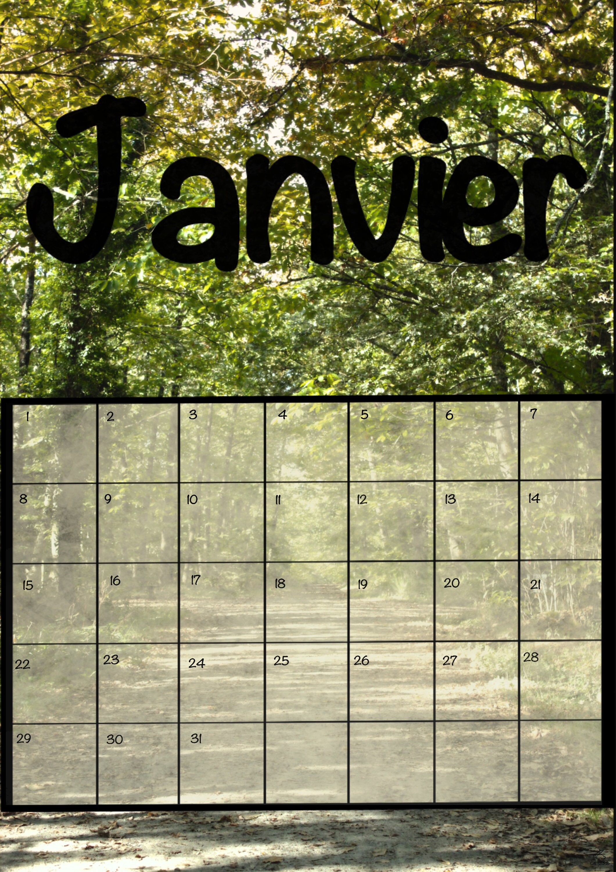 2024 Digital Calendar Forest Theme - Etsy