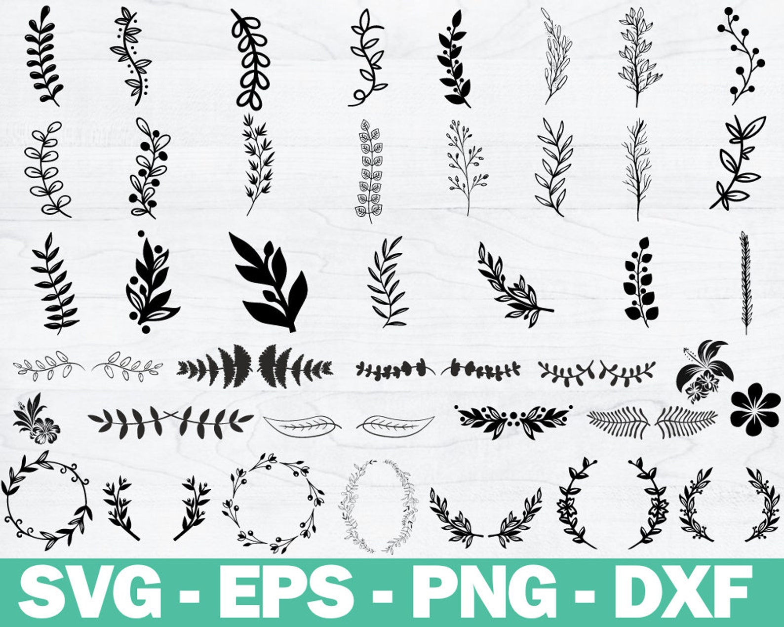 50 Leaves SVG / Hand Drawn Leaves SVG / Cut Files / Files for Cricut ...
