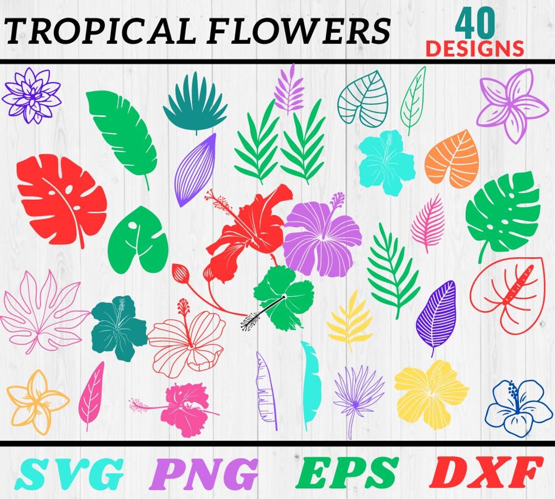 Flowers Svg, Flower Svg, Hibiscus Svg, Tropical Flower Svg, Hawaiian ...