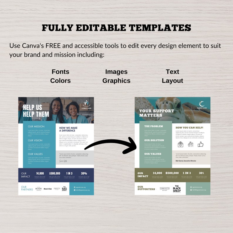 Nonprofit One Page Fact Sheet: Canva Template (letter-sized) - Etsy