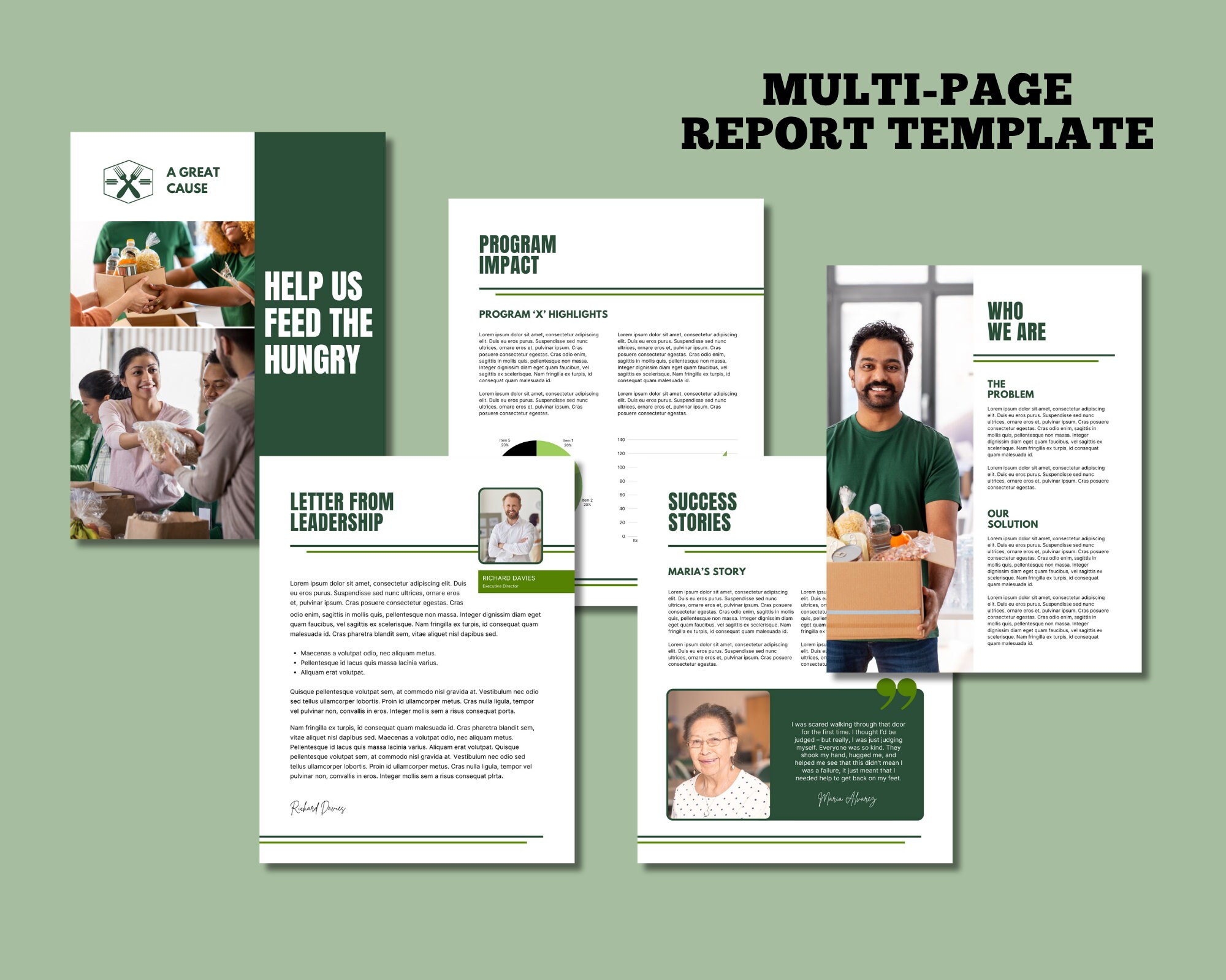 3 Nonprofit Case for Support Letter-sized Canva Template Case Statement ...