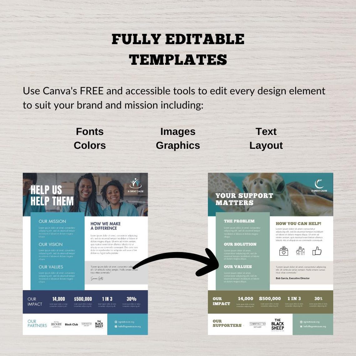 3 Nonprofit Case for Support Letter-sized Canva Template | Case ...