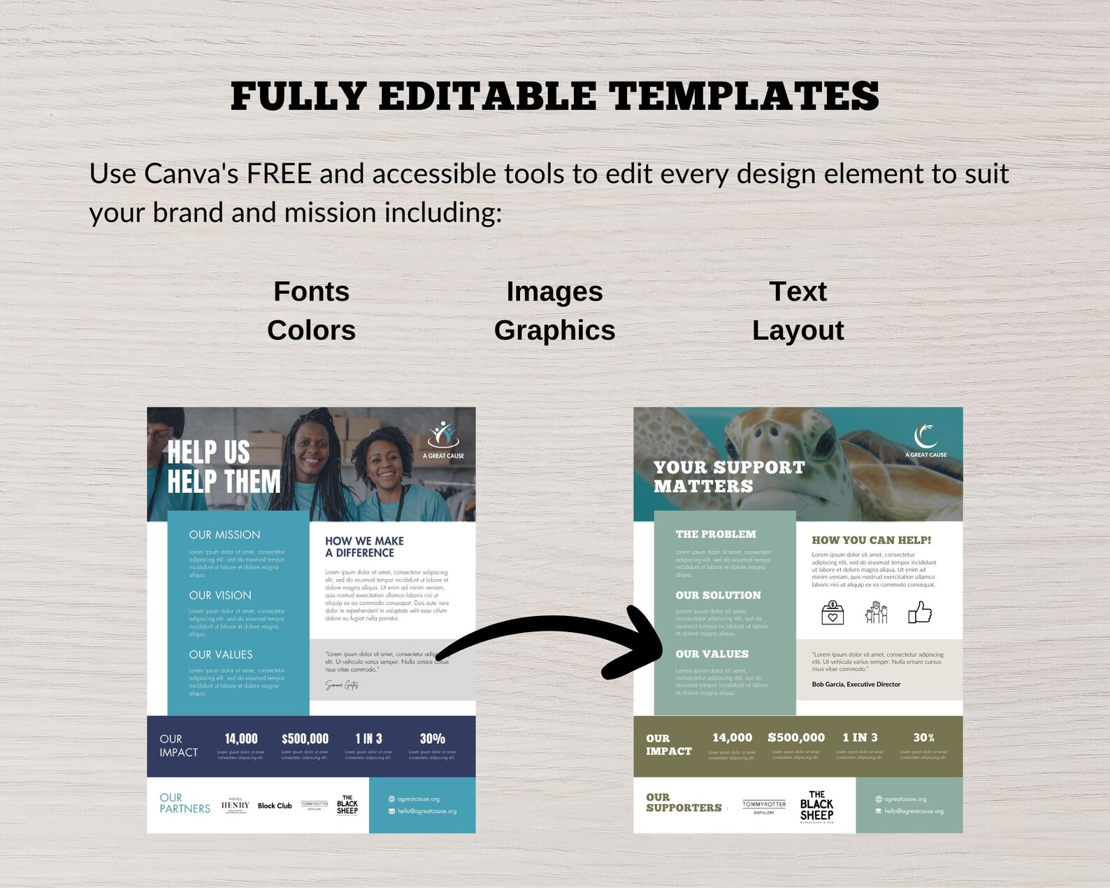 3 Nonprofit Case for Support Letter-sized Canva Template Case Statement ...