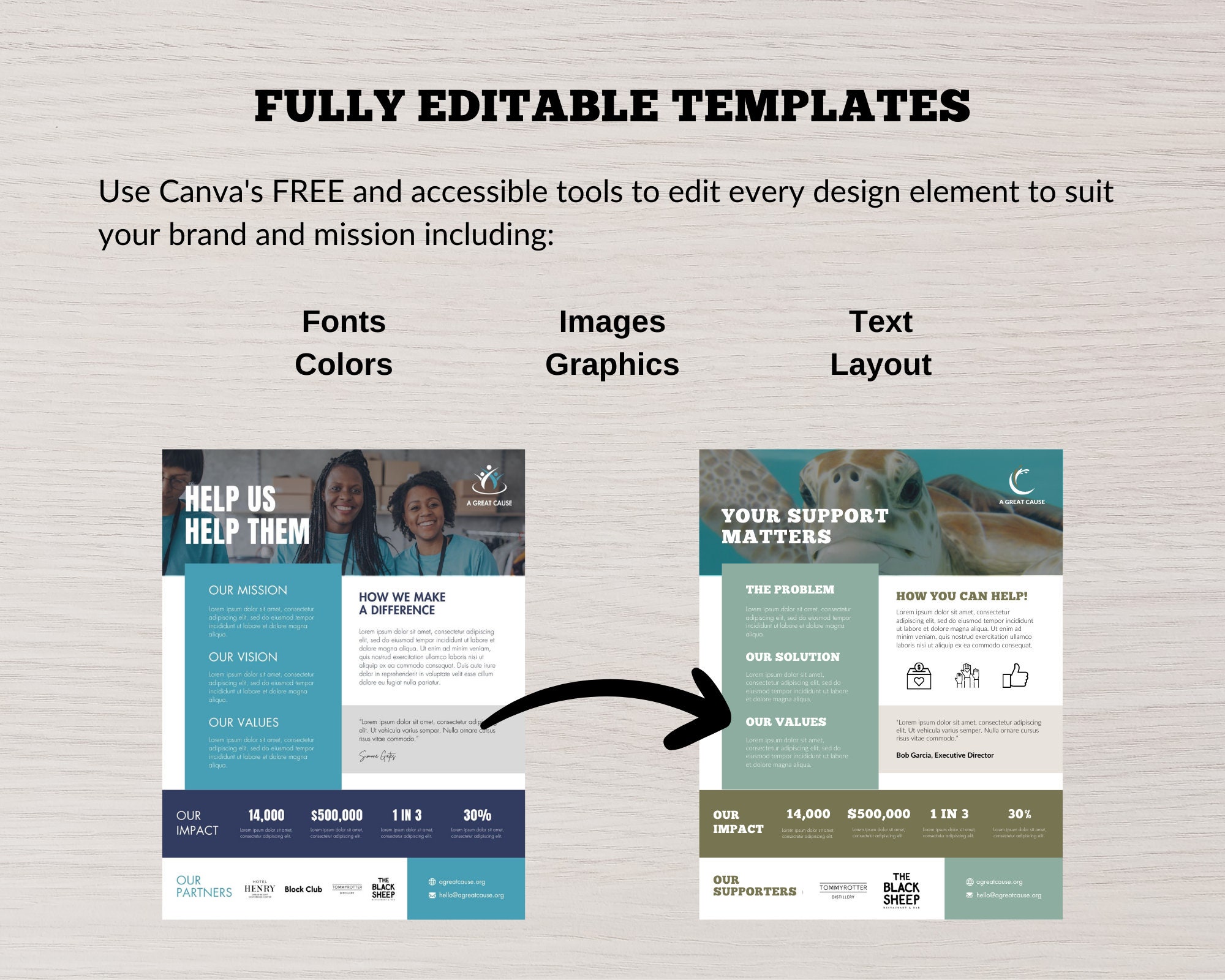 3 Nonprofit Case for Support Letter-sized Canva Template Case Statement ...