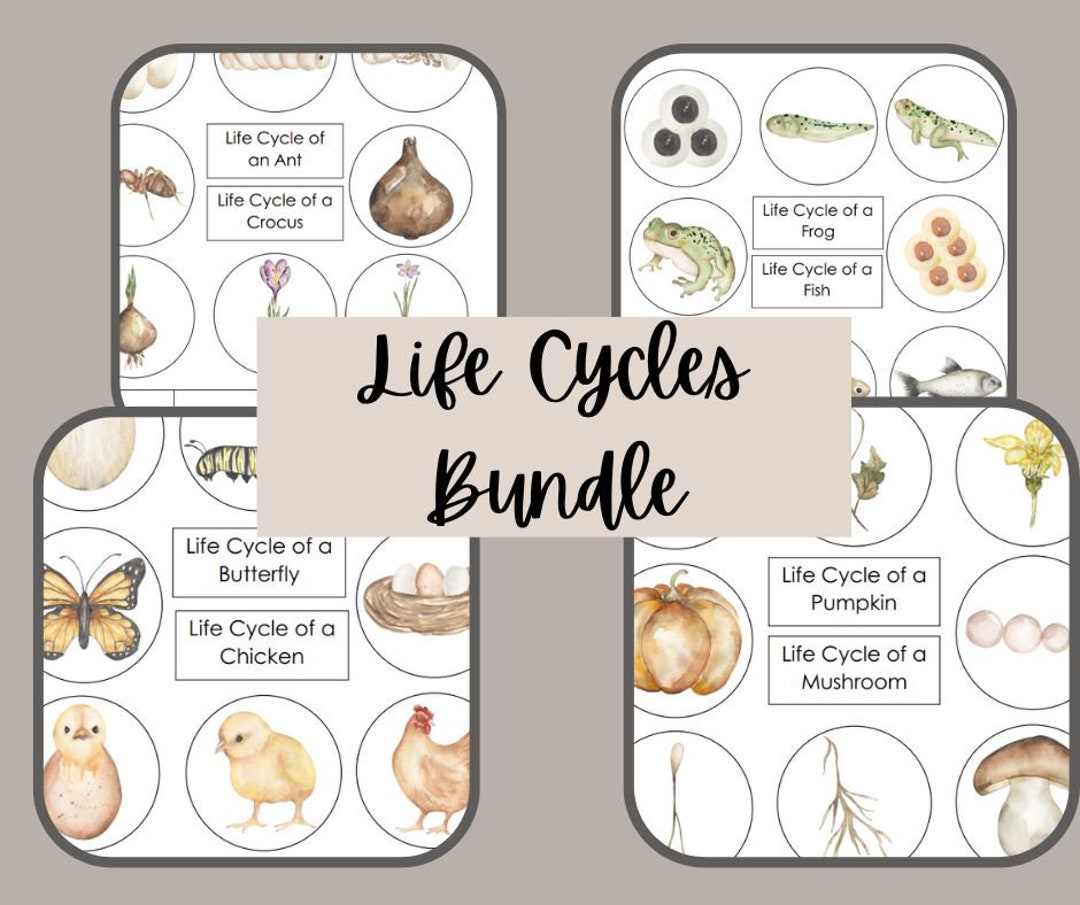 Montessori Life Cycles Bundle - Etsy