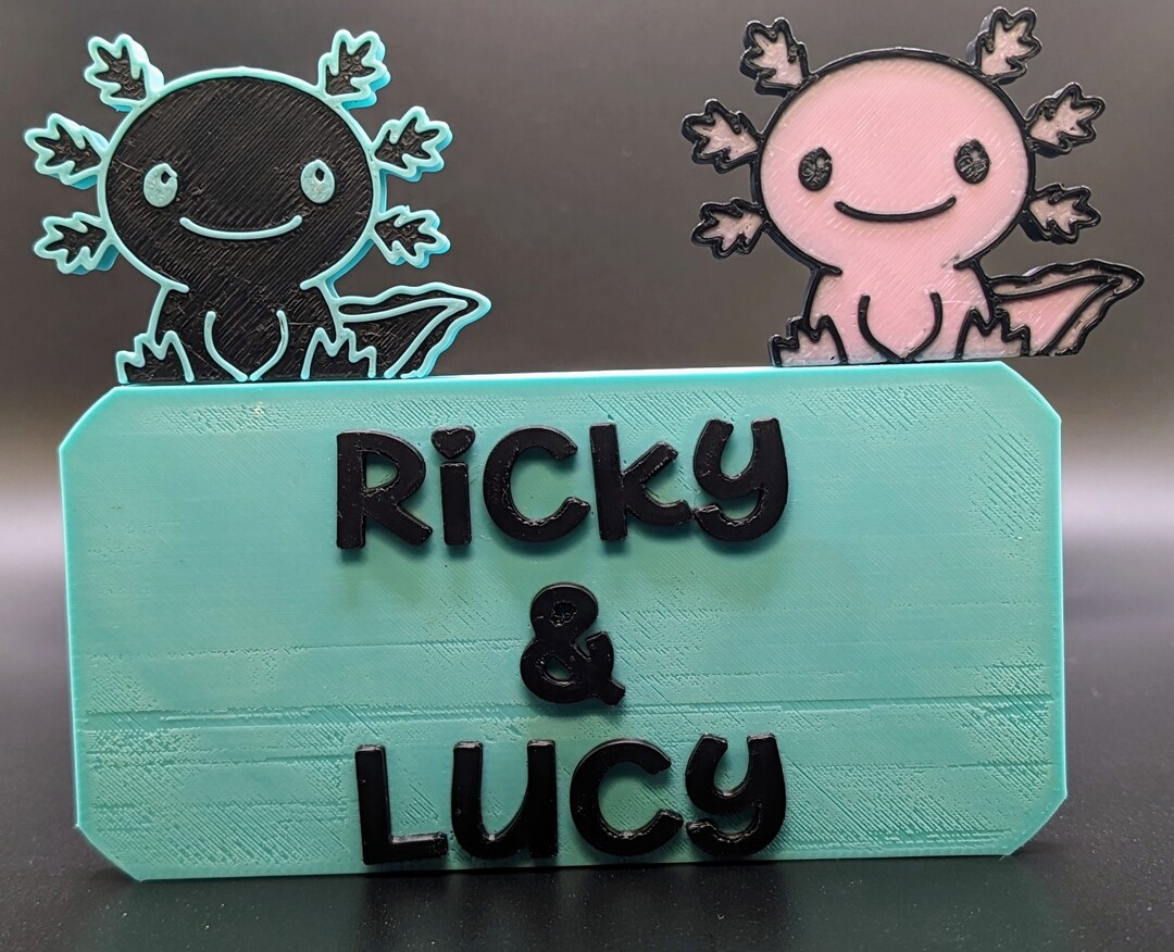 Personalized Aquarium Name Tag for Axolotls 3d Printed - Etsy