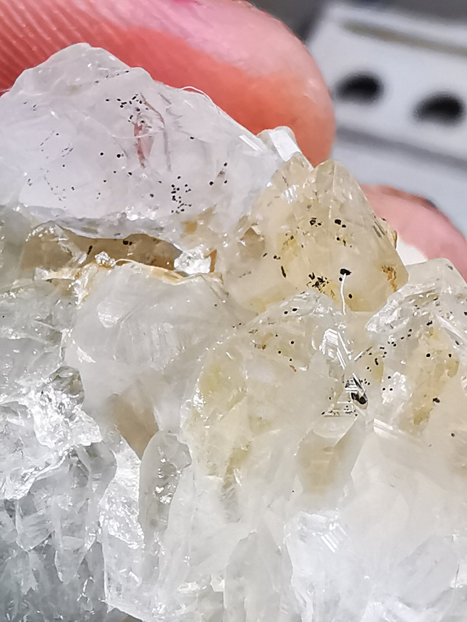Scottish Burn Anne Quartz Crystal With Geothite&hematite Specimen - Etsy