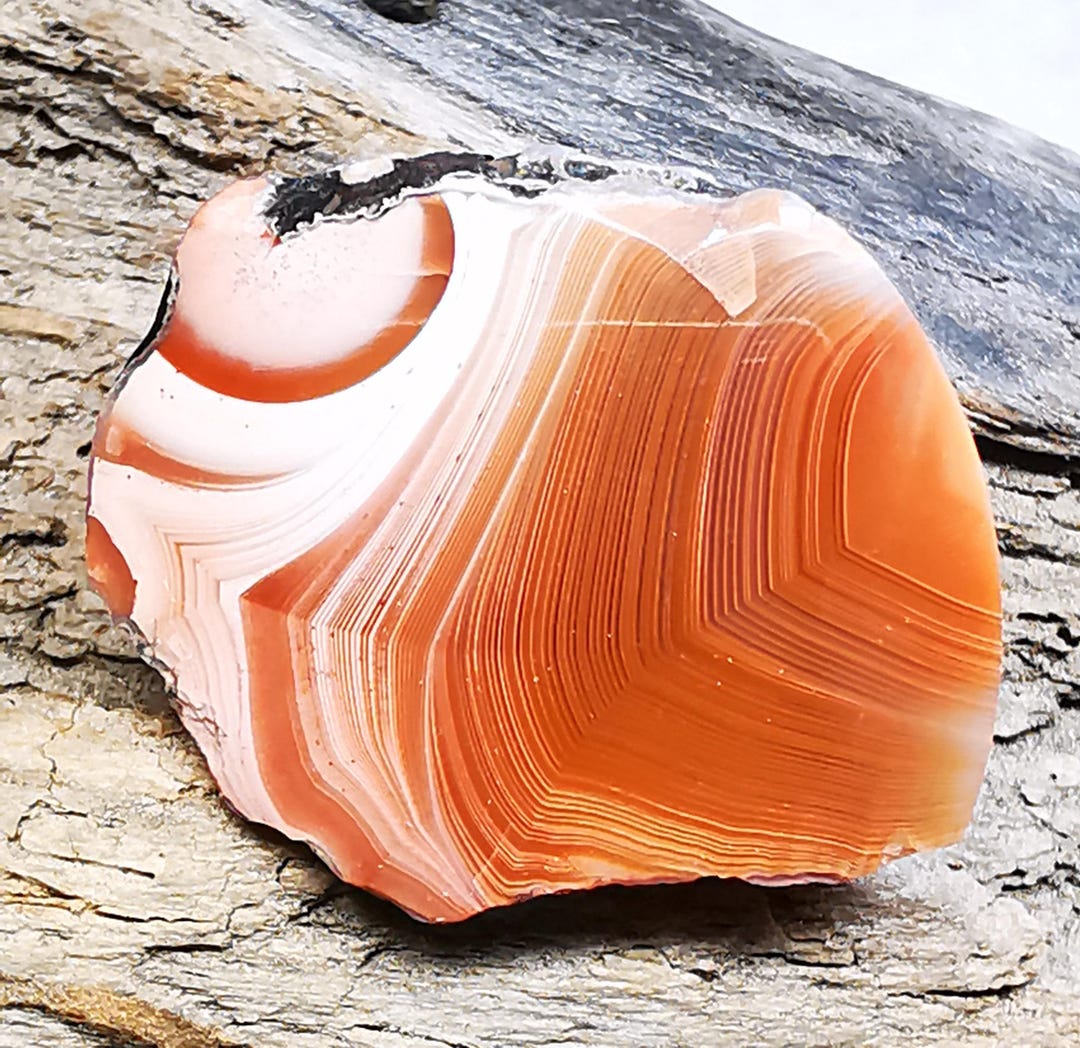 Balmarino Collectors Agate With Parallax Banding - Etsy