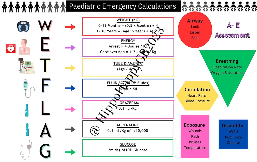Paediatric Wetflag and A-E Assessment Mini Guide lanyard /A6 - Etsy